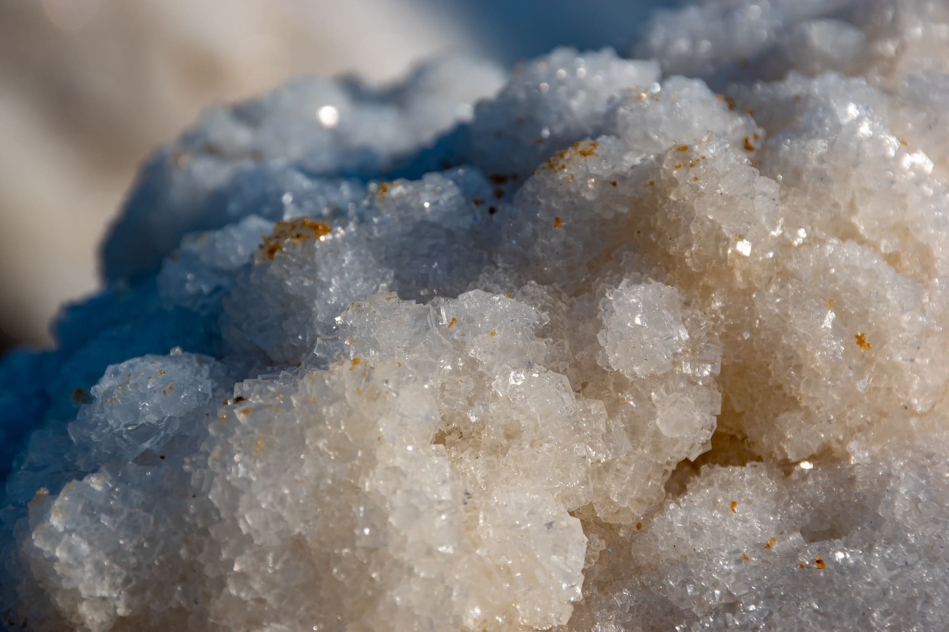 Magnesium: an essential ally for your health - Nutragroup